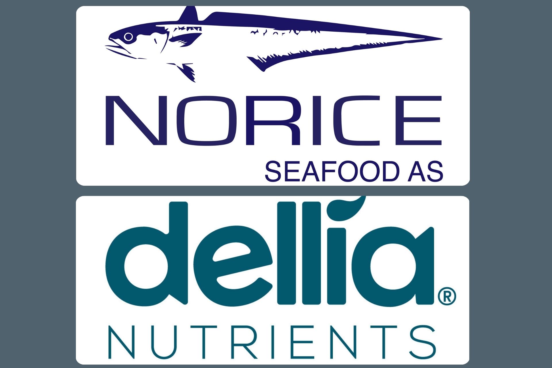 Norice Seafood AS og Dellia AS- nye medlem i DLF